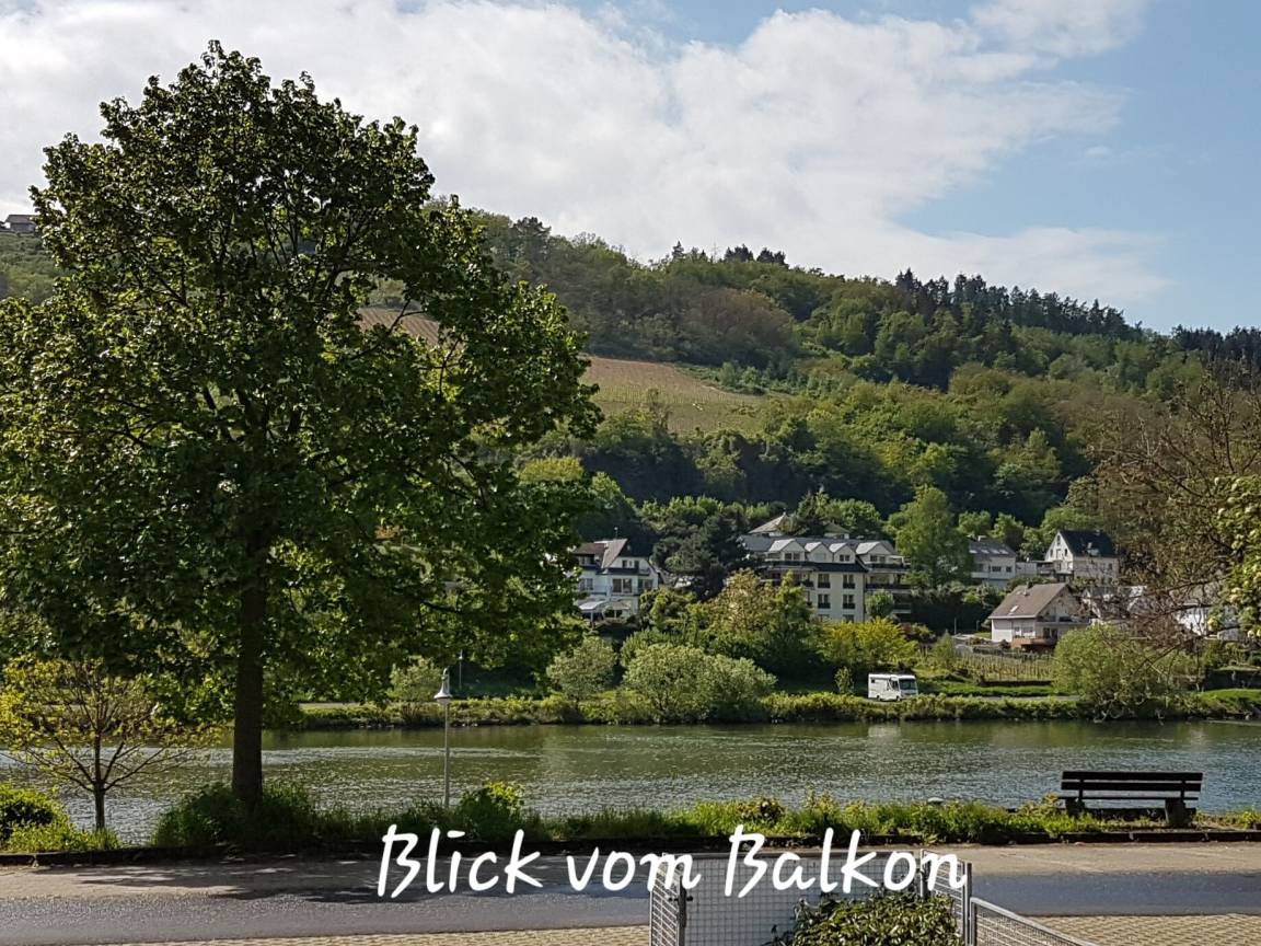 62 M² Appartement ∙ 1 Slaapkamer ∙ 2 Gasten - Zell