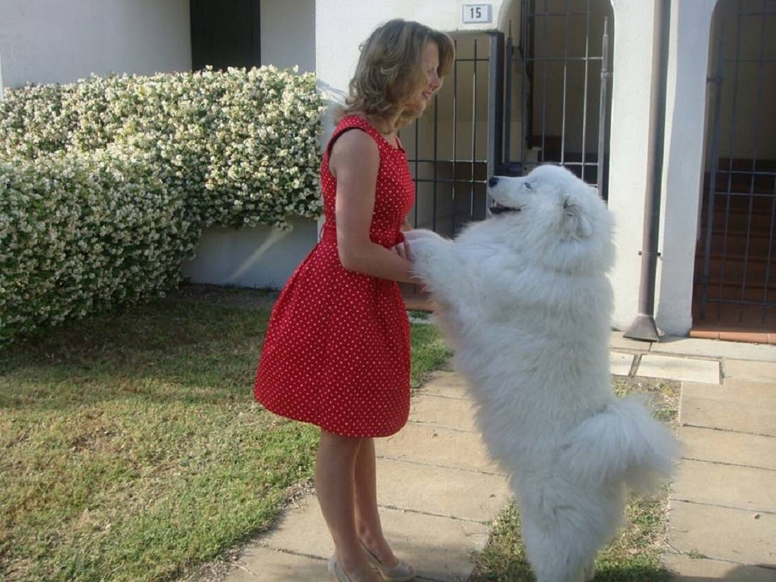 60 M² Hotel ∙ 2 Schlafzimmer ∙ 6 Gäste - Comacchio