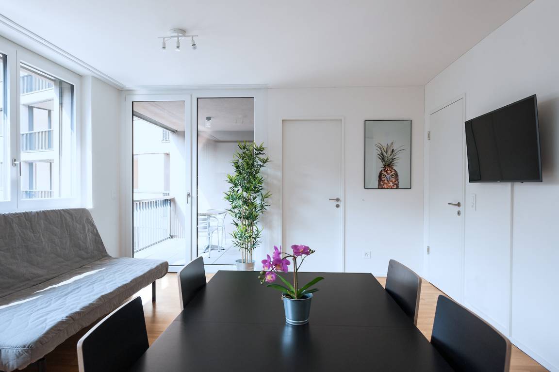 46 M² Appartement ∙ 1 Chambre ∙ 4 Personnes - Bâle