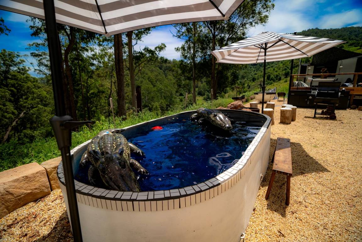 Camping ∙ 8 Bedrooms ∙ 8 Guests - Hunter Valley