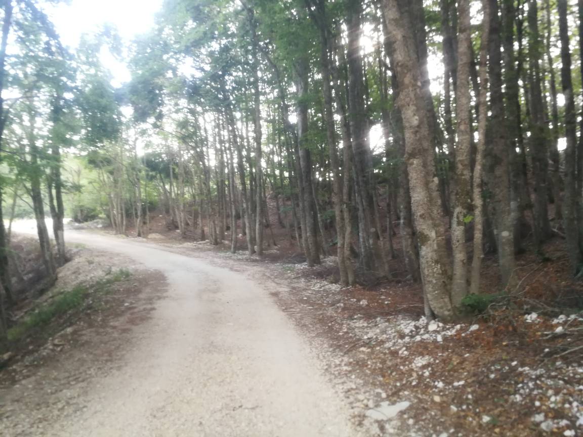 50 M² Apartment ∙ 1 Bedroom ∙ 4 Guests - Rieti