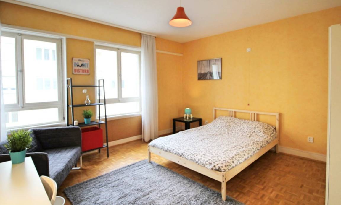 100 M² Chambre Privée ∙ 1 Chambre ∙ 4 Personnes - Strasbourg