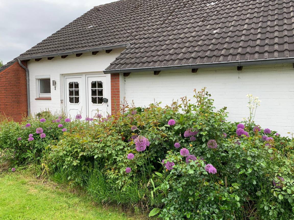 42 M² Ferienwohnung ∙ 2 Schlafzimmer ∙ 4 Gäste - Witzwort