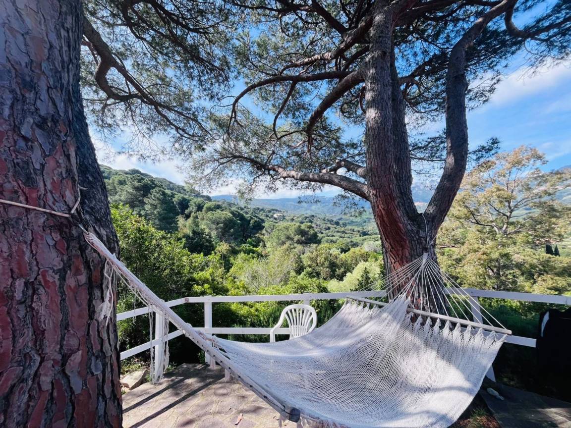 45 M² Apartment ∙ 1 Bedroom ∙ 3 Guests - Elba