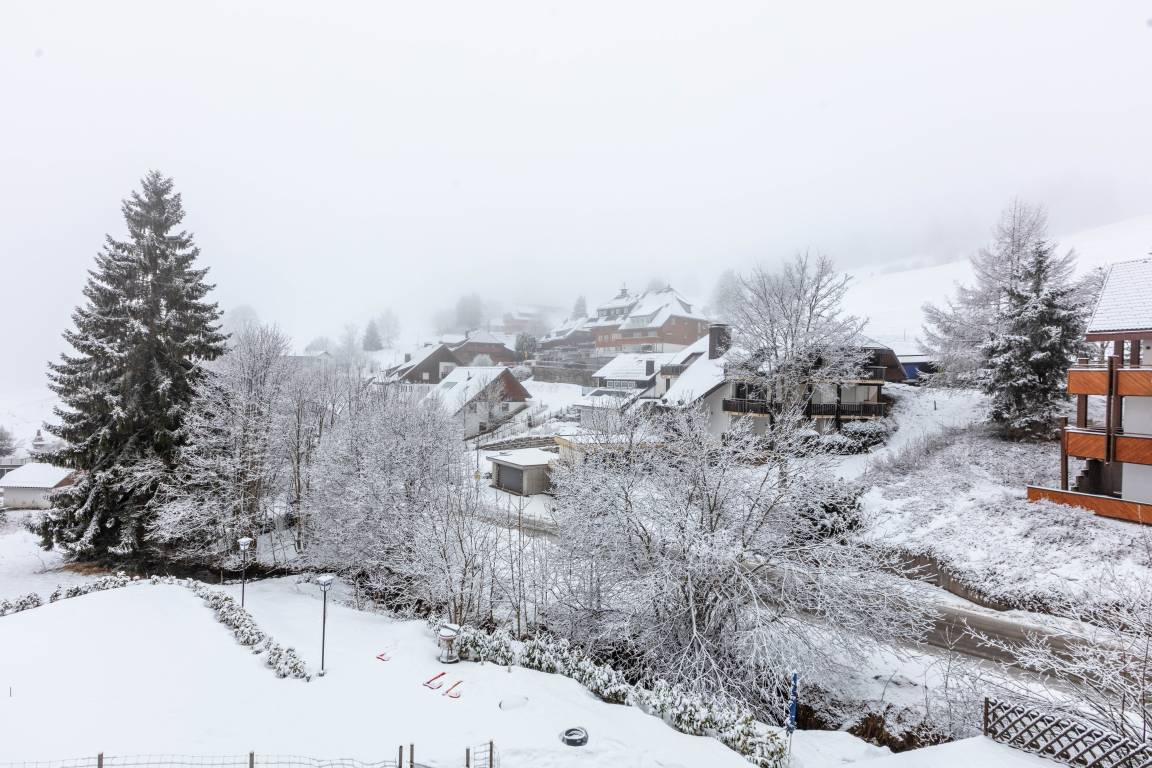 100 M² Ferienwohnung ∙ 2 Schlafzimmer ∙ 6 Gäste - Todtnau