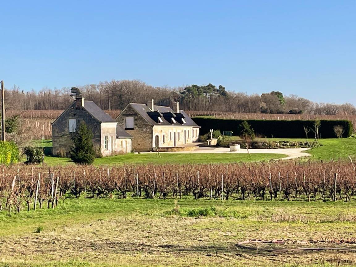 140 M² Cottage ∙ 3 Camere Da Letto ∙ 6 Ospiti - Bourgueil