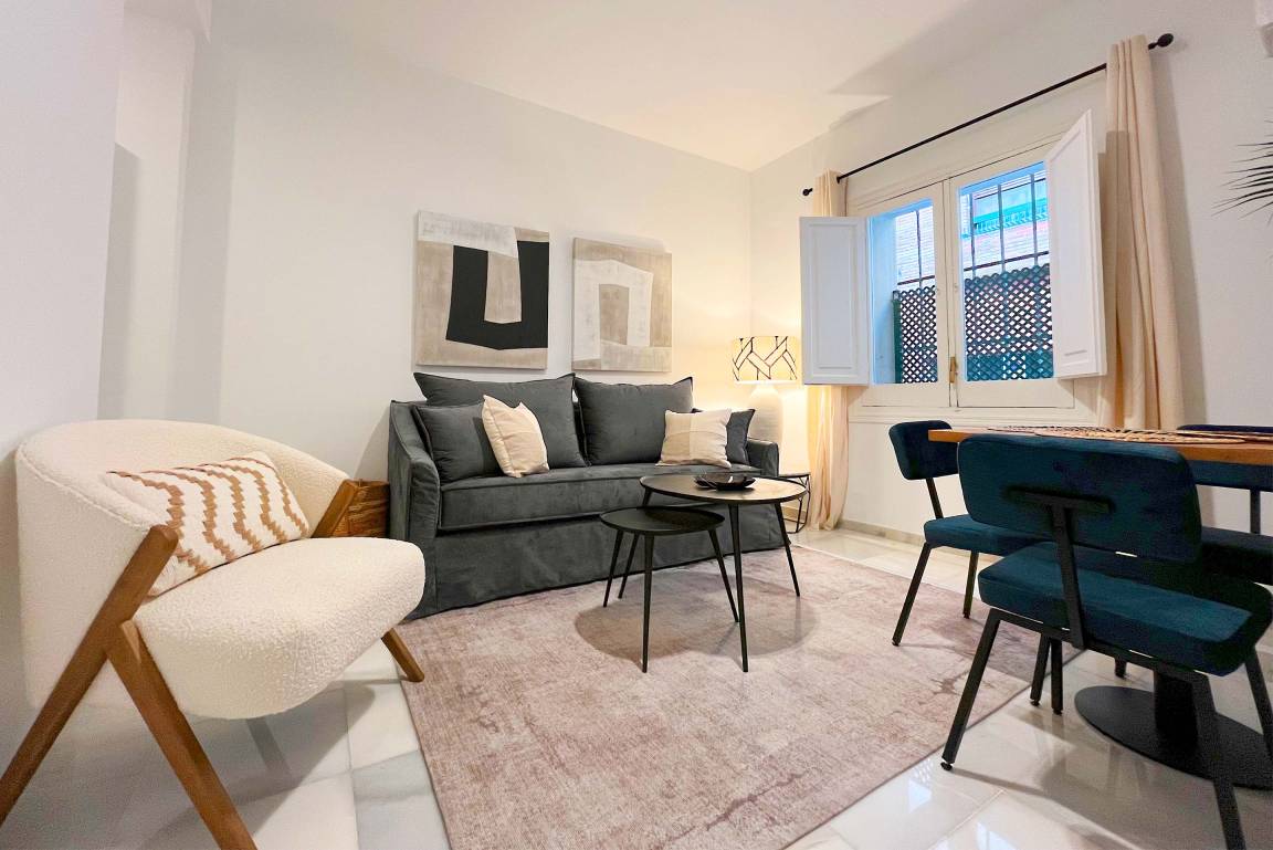 46 M² Apartment ∙ 1 Bedroom ∙ 3 Guests - Seville