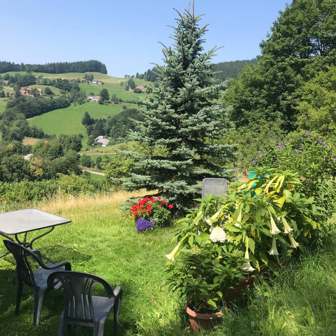 55 M² Ferienwohnung ∙ 1 Schlafzimmer ∙ 4 Gäste - Kirchzarten