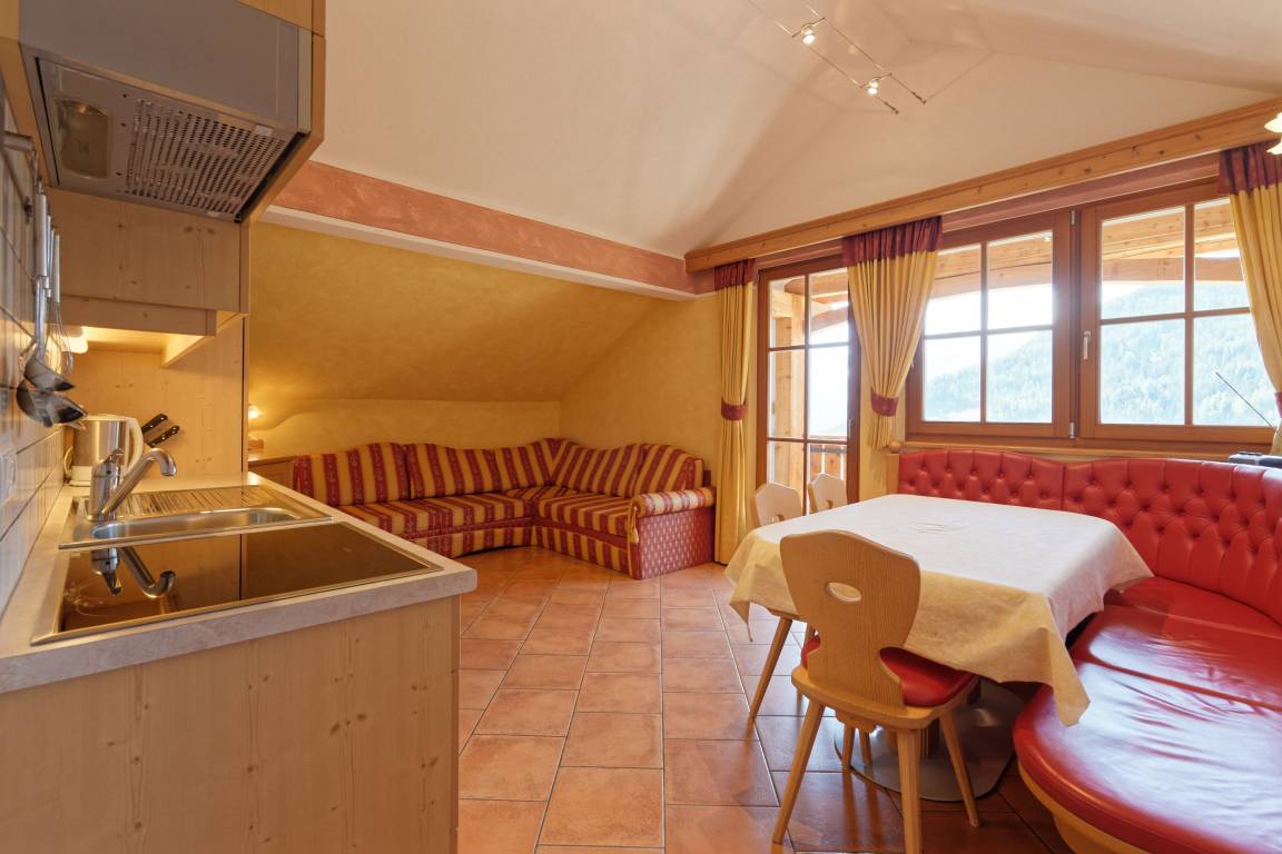 45 M² Appartement ∙ 1 Slaapkamer ∙ 4 Gasten - Ahrntal