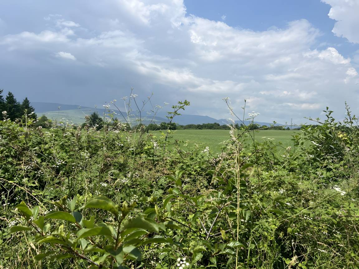 120 M² Huis ∙ 4 Slaapkamers ∙ 8 Gasten - Mâcon