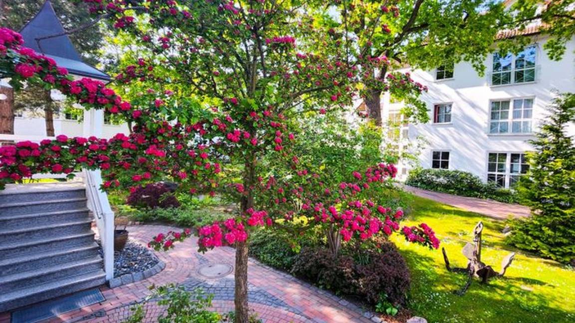 90 M² Ferienwohnung ∙ 3 Schlafzimmer ∙ 7 Gäste - Binz