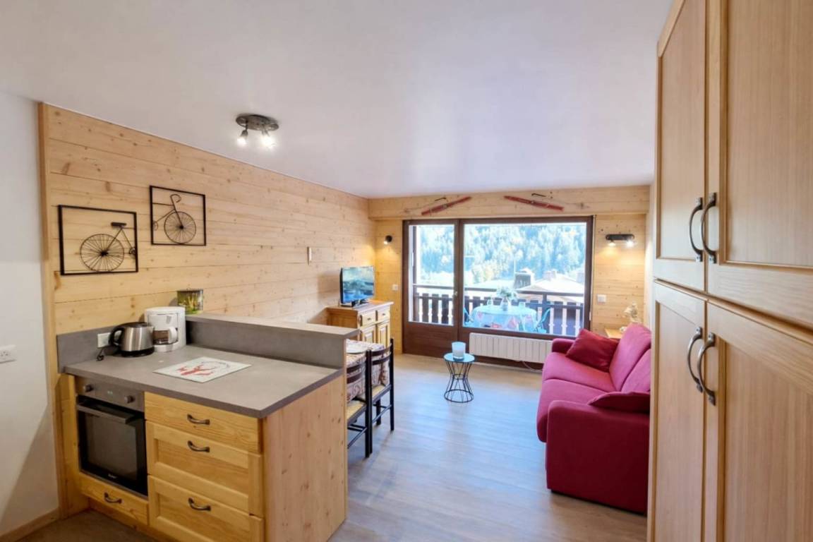 24 M² Studio Flat ∙ 4 Guests - Le Grand-Bornand