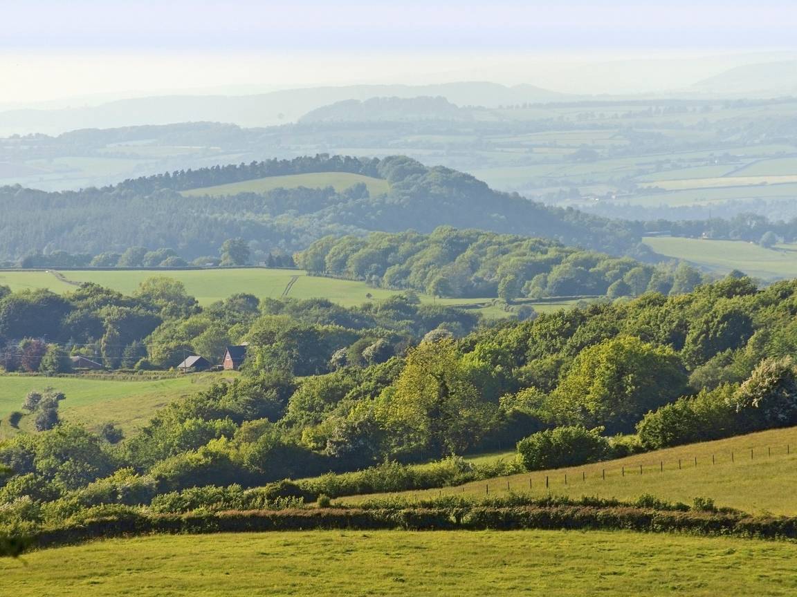 Cottage ∙ 2 Bedrooms ∙ 4 Guests - Forest of Dean