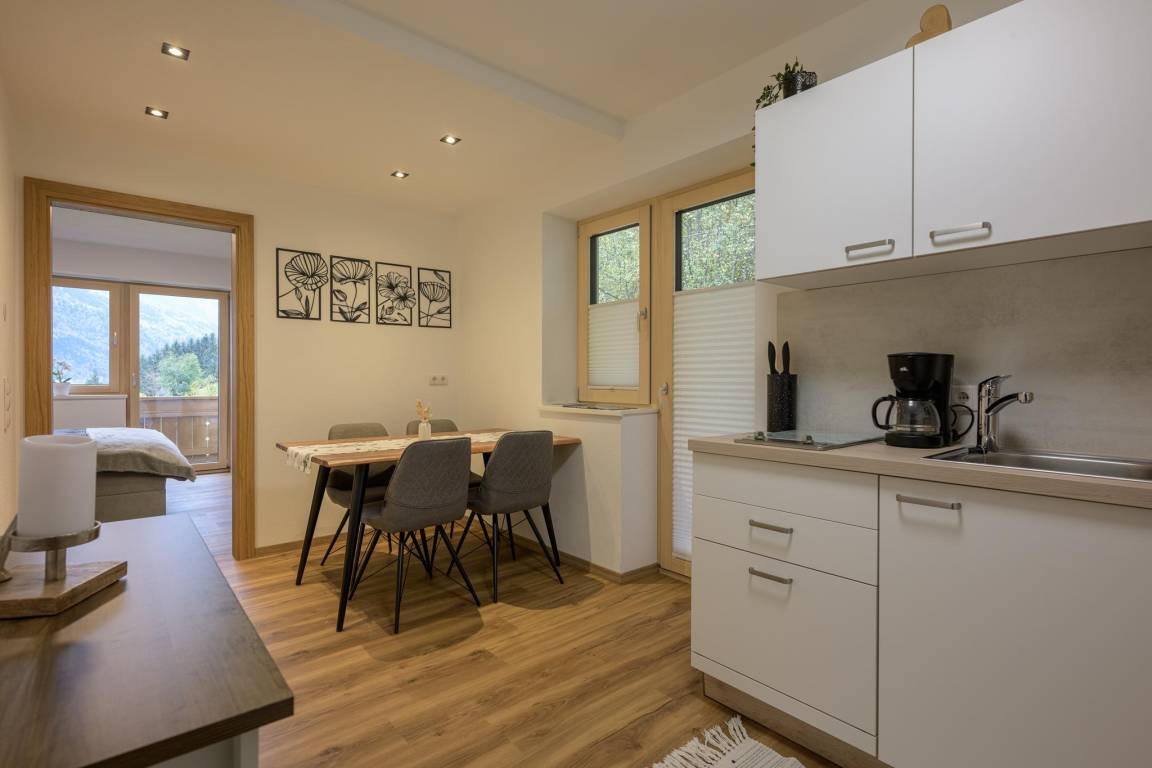 38 M² Apartment ∙ 1 Bedroom ∙ 4 Guests - Kaltenbach