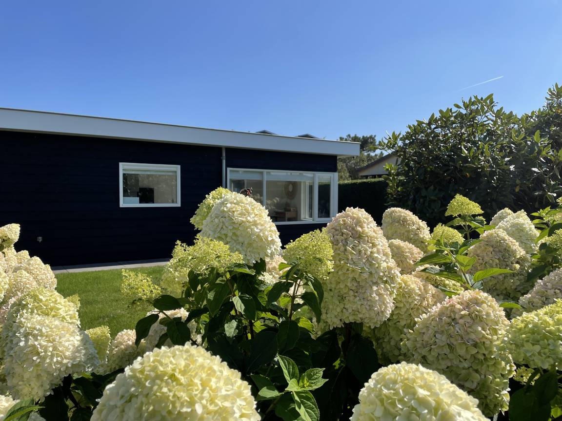 Bungalow ∙ 3 Bedrooms ∙ 6 Guests - Texel