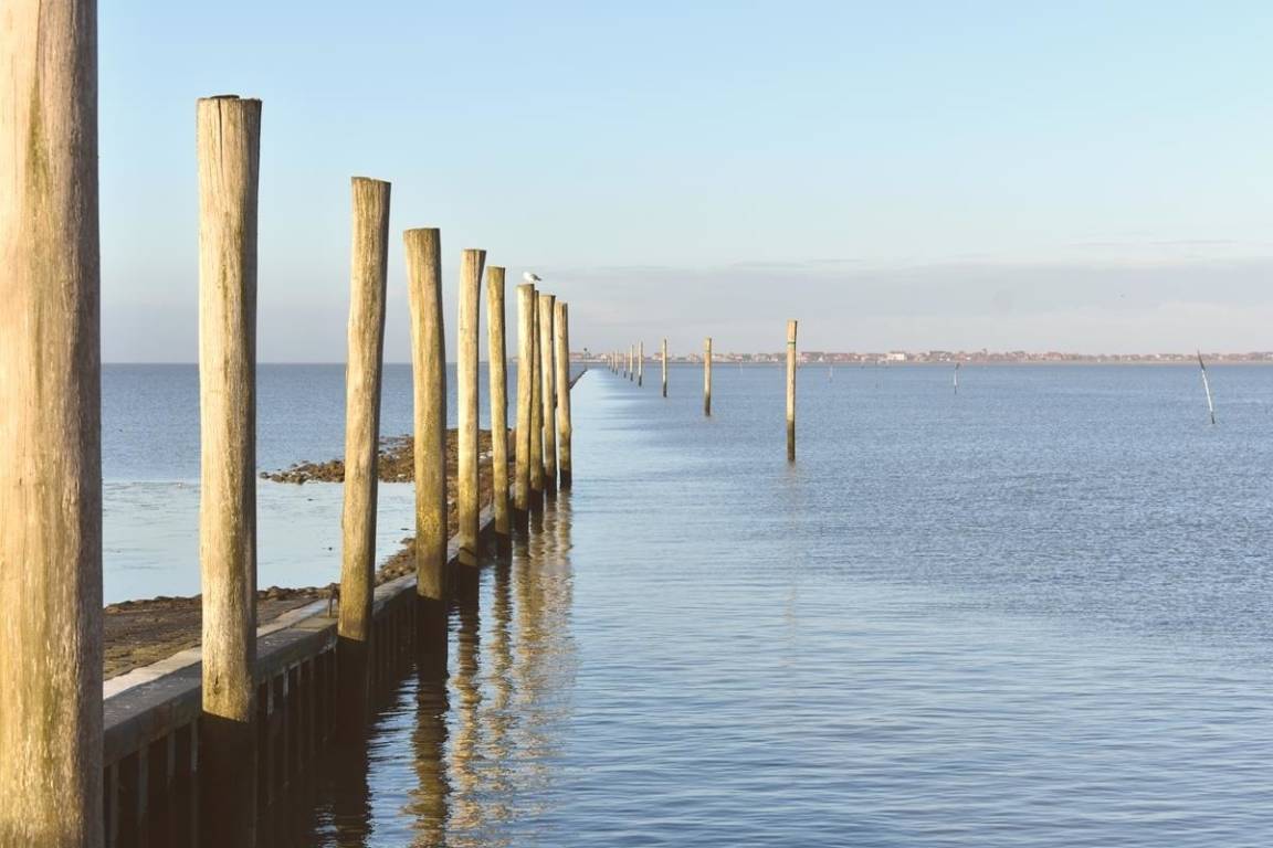 23 M² Apartment ∙ 1 Bedroom ∙ 2 Guests - Langeoog