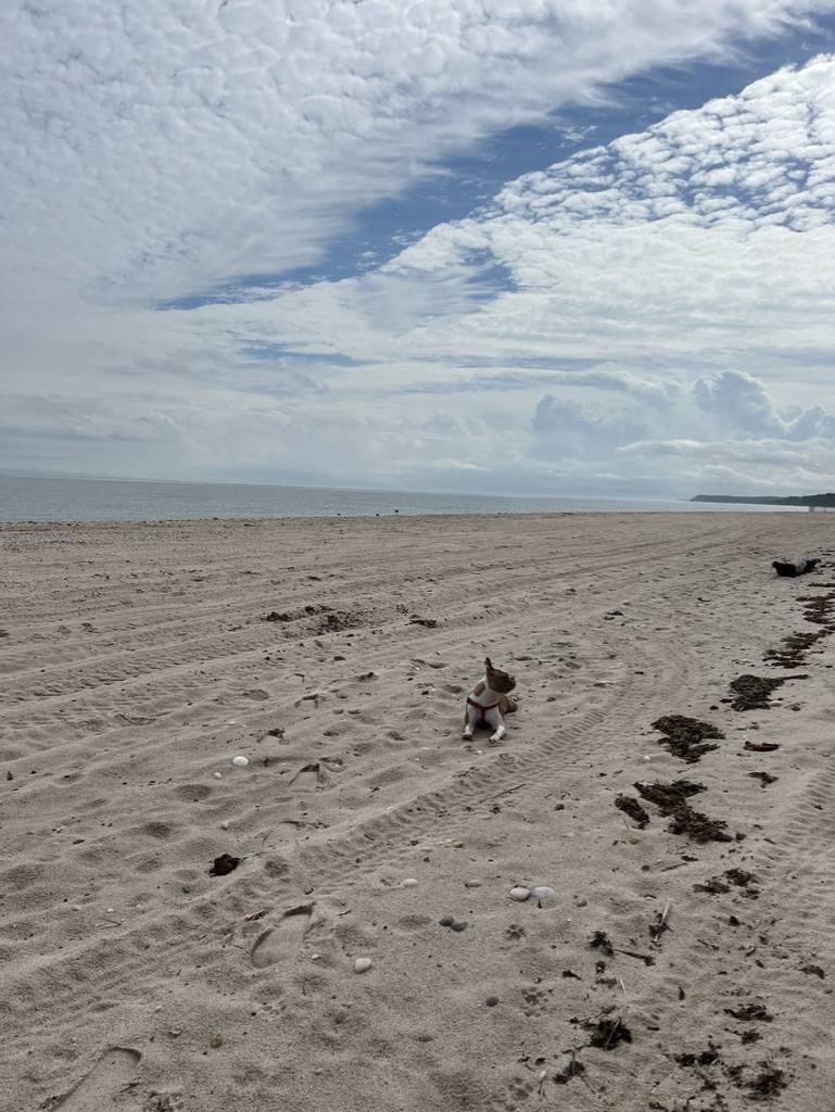 Cabin ∙ 3 Bedrooms ∙ 5 Guests - Port Jefferson, NY