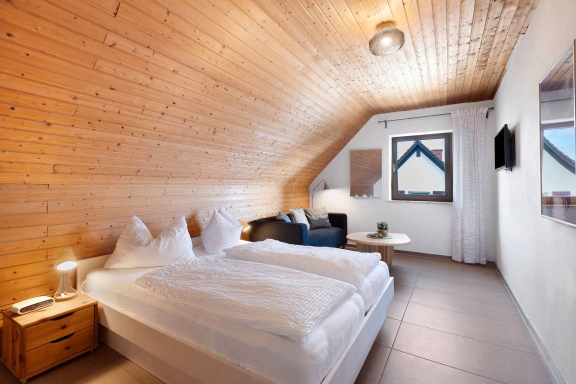 45 M² Apartment ∙ 1 Bedroom ∙ 2 Guests - Radolfzell