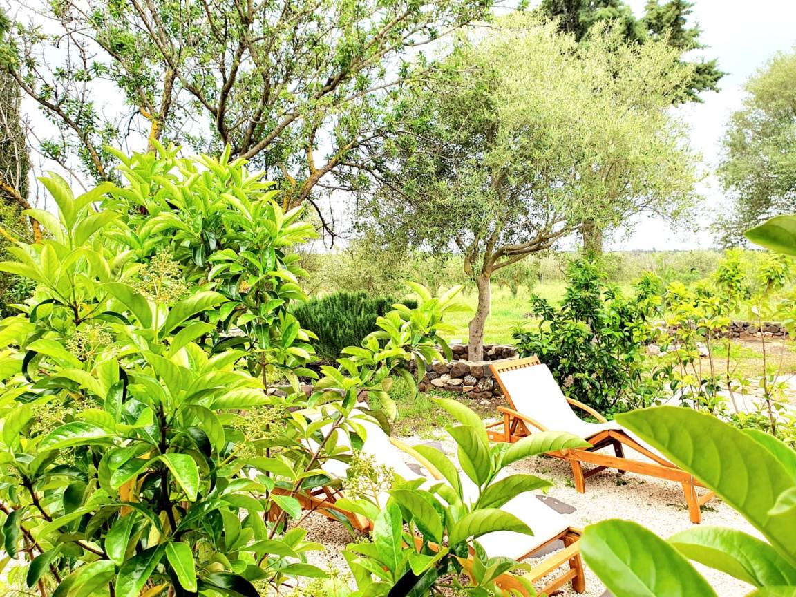 21 M² Bed And Breakfast ∙ 1 Bedroom ∙ 2 Guests - Orosei