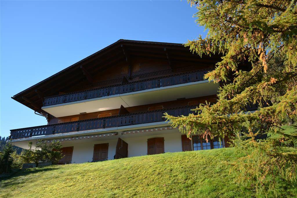 74 M² Appartamento ∙ 1 Camera Da Letto ∙ 2 Ospiti - Saanenmöser