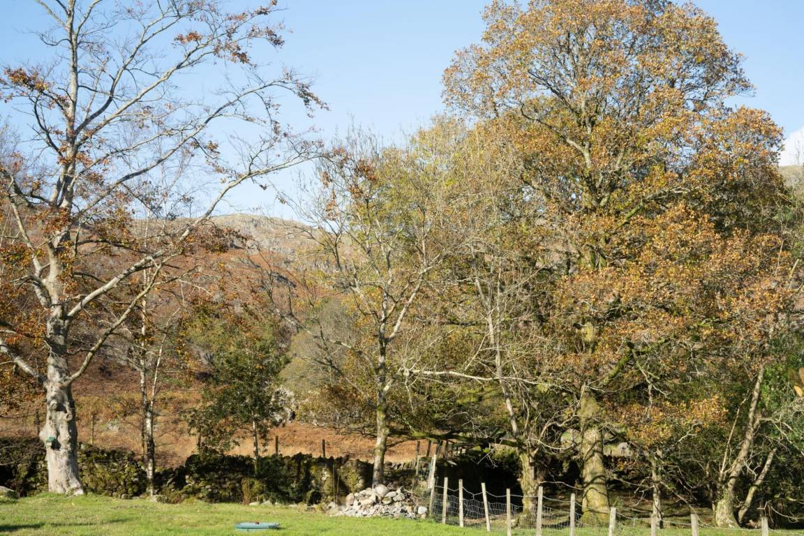 House ∙ 2 Bedrooms ∙ 4 Guests - Borrowdale