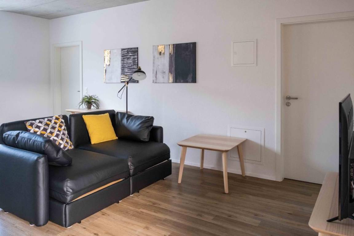 49 M² Apartamento ∙ 1 Quarto ∙ 4 Hóspedes - Schaffhausen