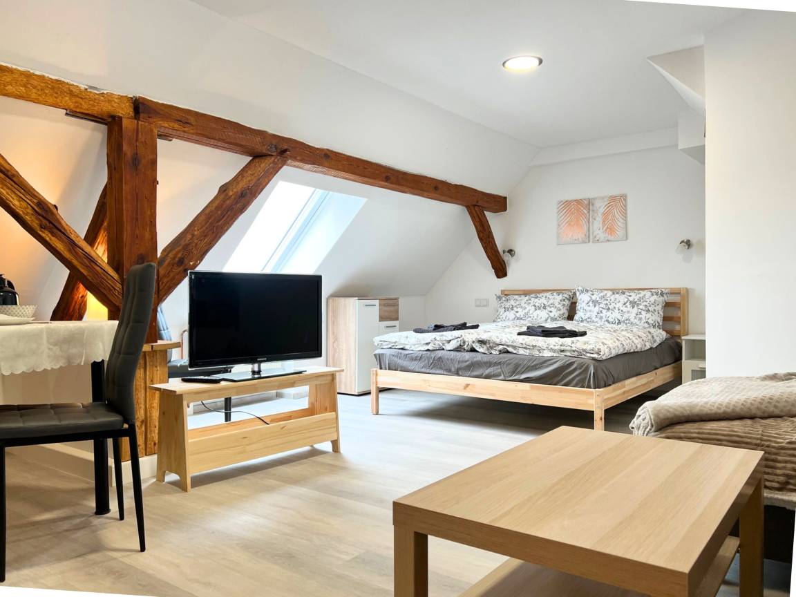 30 M² Apartment ∙ 3 Guests - Herzberg (Elster)