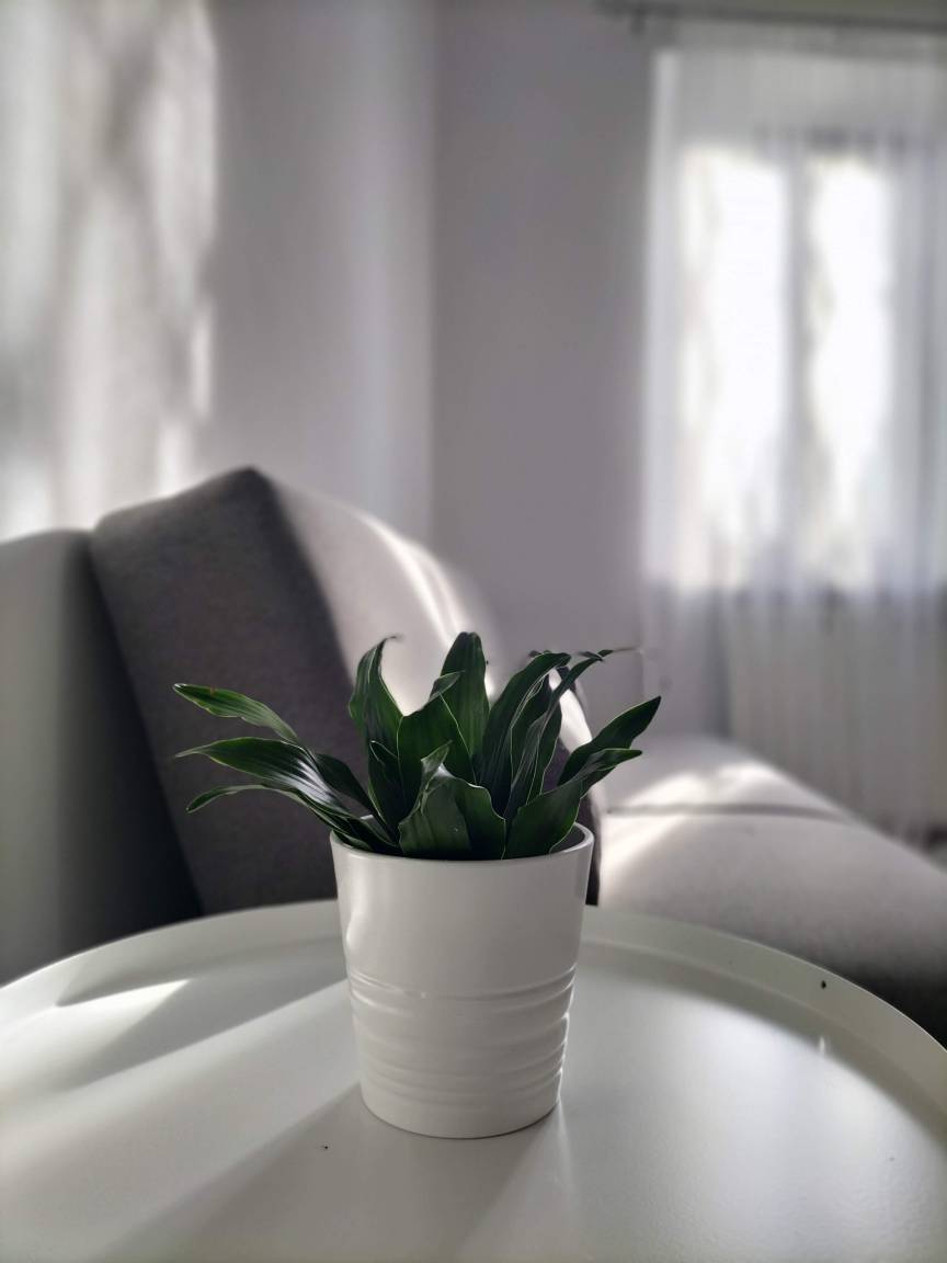 80 M² Appartement ∙ 2 Chambres ∙ 5 Personnes - Omegna