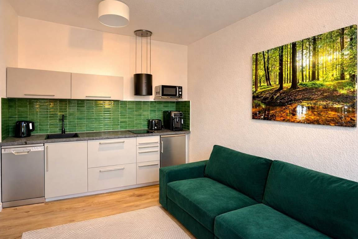 30 M² Appartement ∙ 1 Slaapkamer ∙ 4 Gasten - Wernigerode