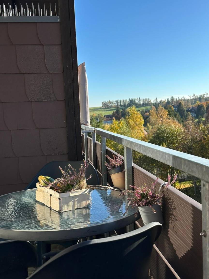 40 M² Apartment ∙ 1 Bedroom ∙ 4 Guests - Braunlage