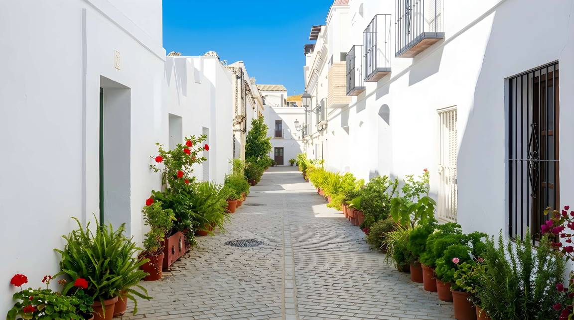 Apartment ∙ 1 Bedroom ∙ 4 Guests - Conil de la Frontera