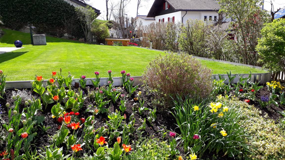 55 M² Apartment ∙ 1 Bedroom ∙ 2 Guests - Immenstadt