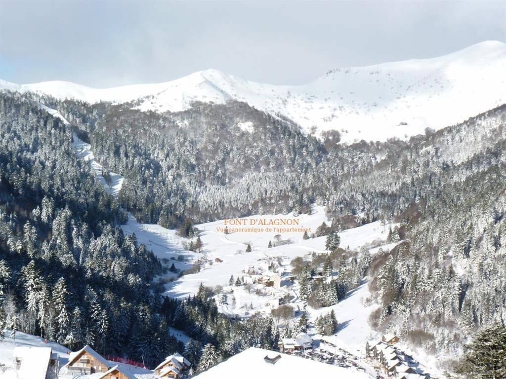 40 M² Apartamento ∙ 2 Habitaciones ∙ 5 Huéspedes - Le Lioran