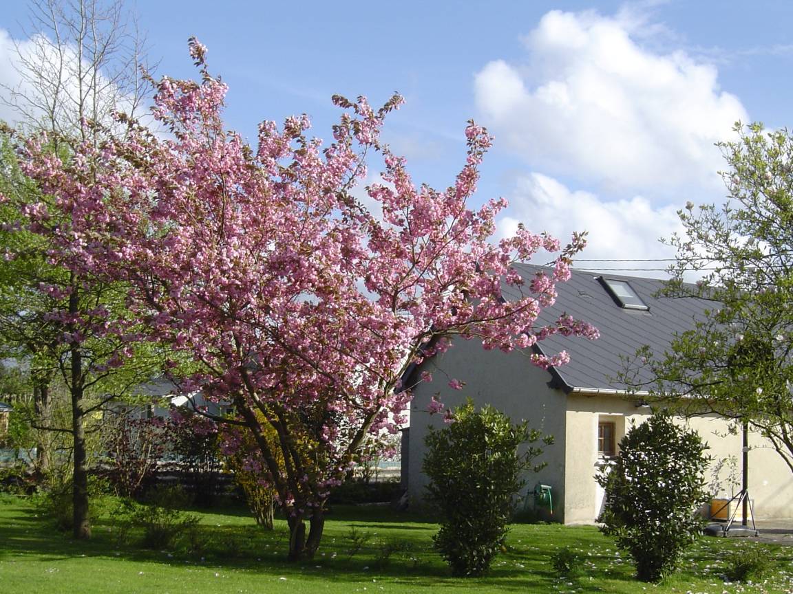 65 M² Maison De Vacances ∙ 2 Chambres ∙ 4 Personnes - Honfleur