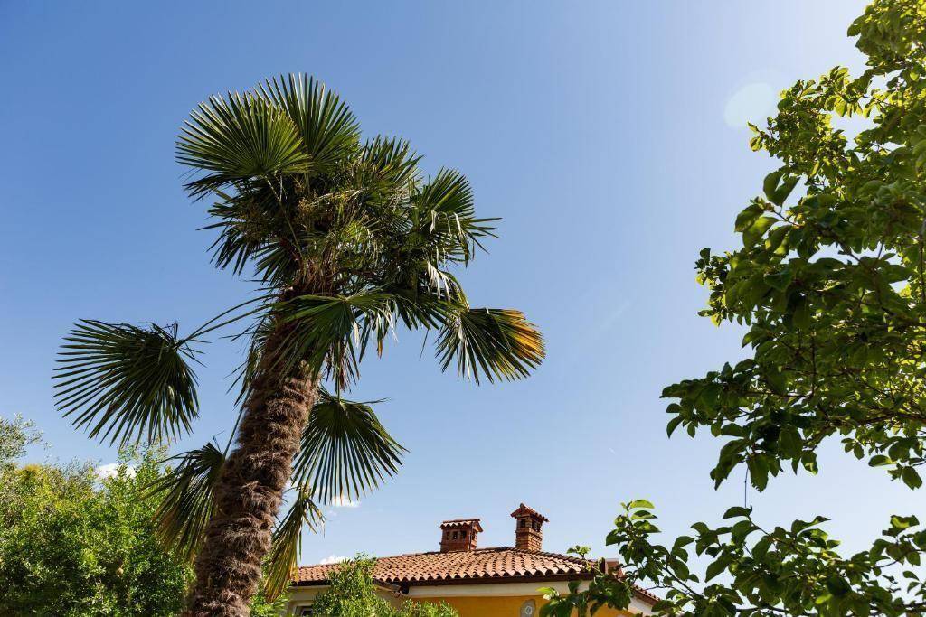 Apartment ∙ 1 Bedroom ∙ 2 Guests - Lucija