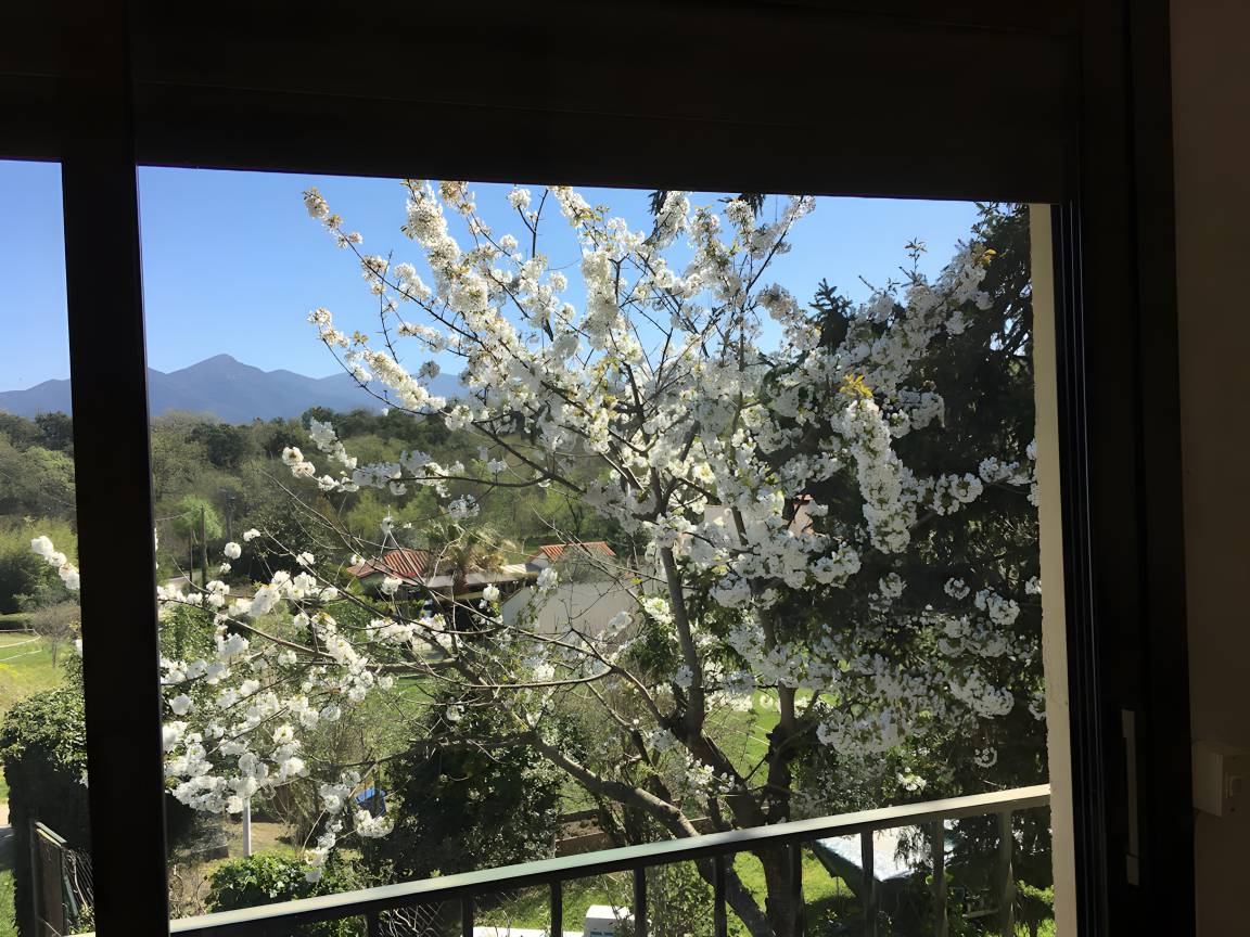 65 M² Casa ∙ 2 Habitaciones ∙ 4 Huéspedes - Céret