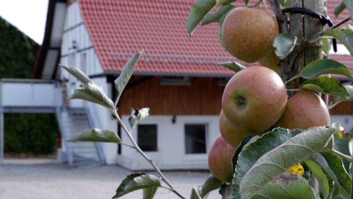 80 M² Talo ∙ 2 Makuuhuonetta ∙ 4 Vierasta - Friedrichshafen