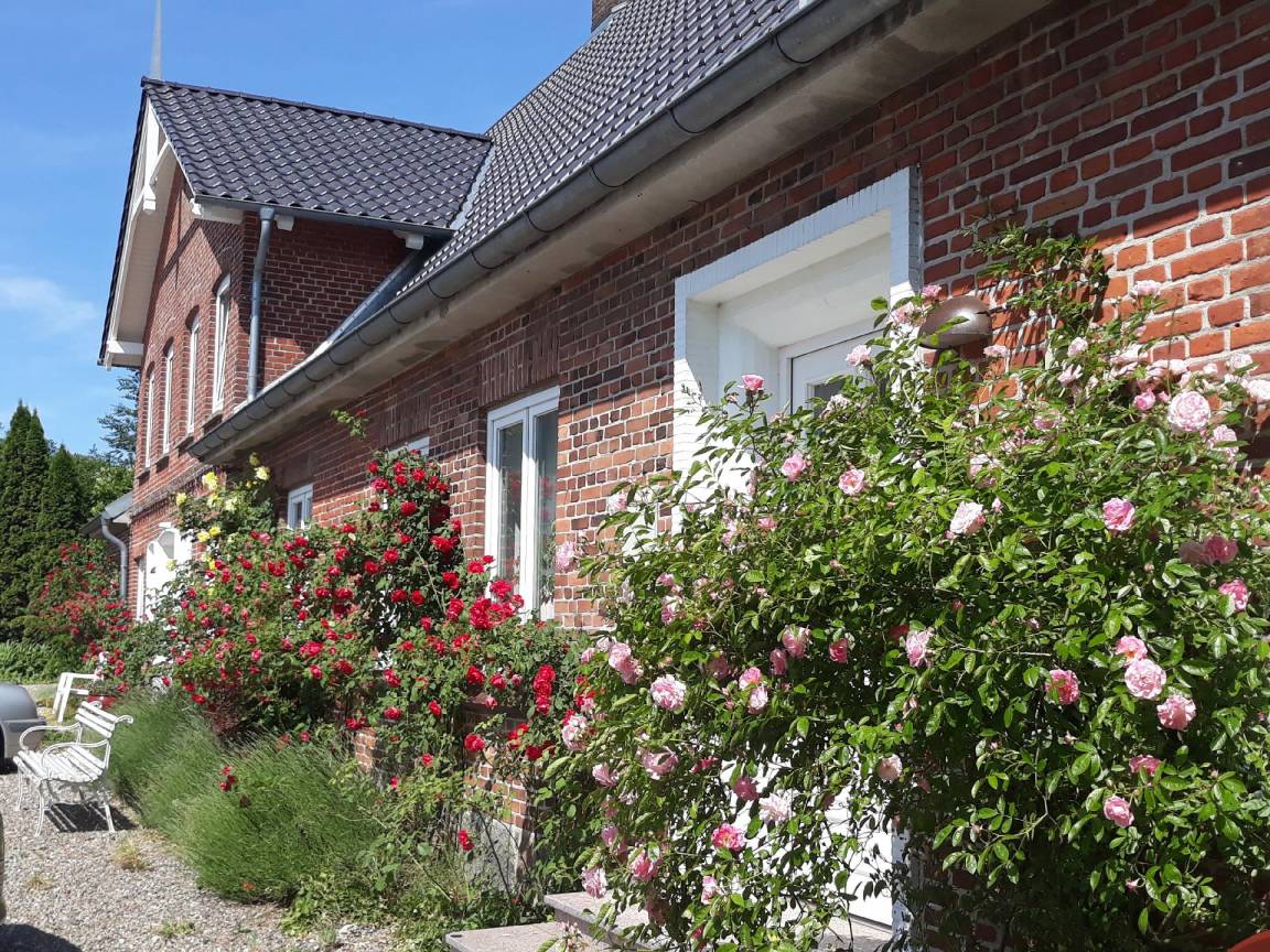 70 M² Ferienwohnung ∙ 1 Schlafzimmer ∙ 2 Gäste - Kronsgaard