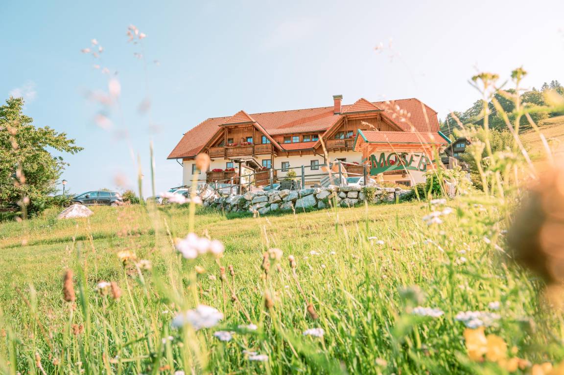 20 M² Hotel ∙ 1 Bedroom ∙ 2 Guests - Styria