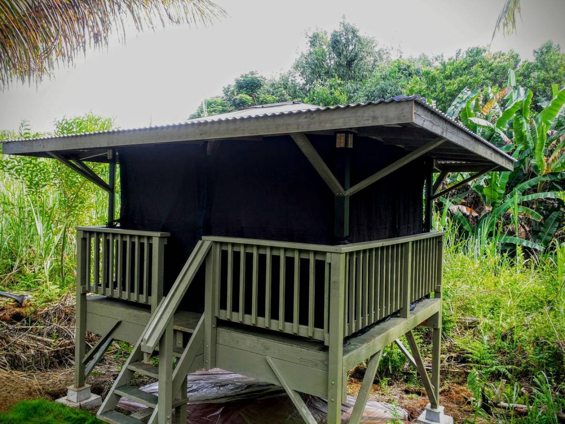 House ∙ 1 Bedroom ∙ 2 Guests - Hawaii