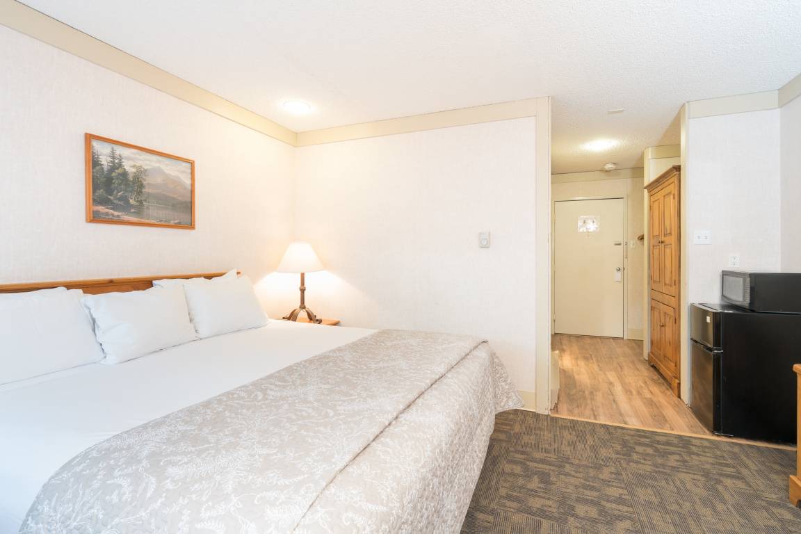 25 M² Hotel ∙ 1 Schlafzimmer ∙ 2 Gäste - Telluride, CO