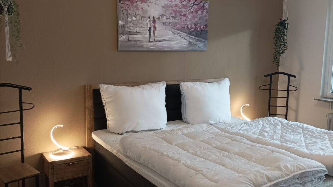 55 M² Apartment ∙ 1 Bedroom ∙ 4 Guests - Harz