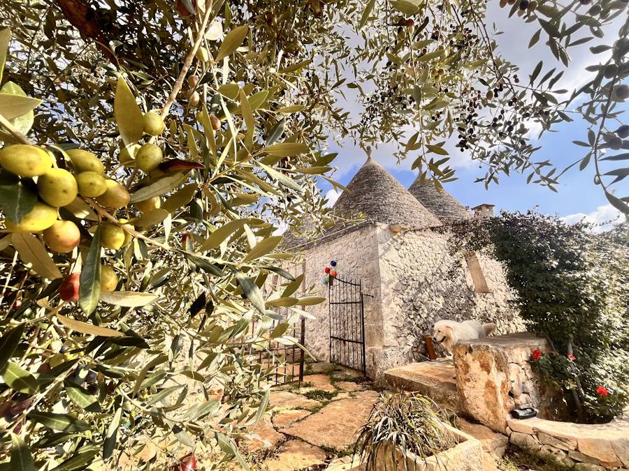 40 M² Casa Rural ∙ 1 Habitación ∙ 5 Huéspedes - Noci