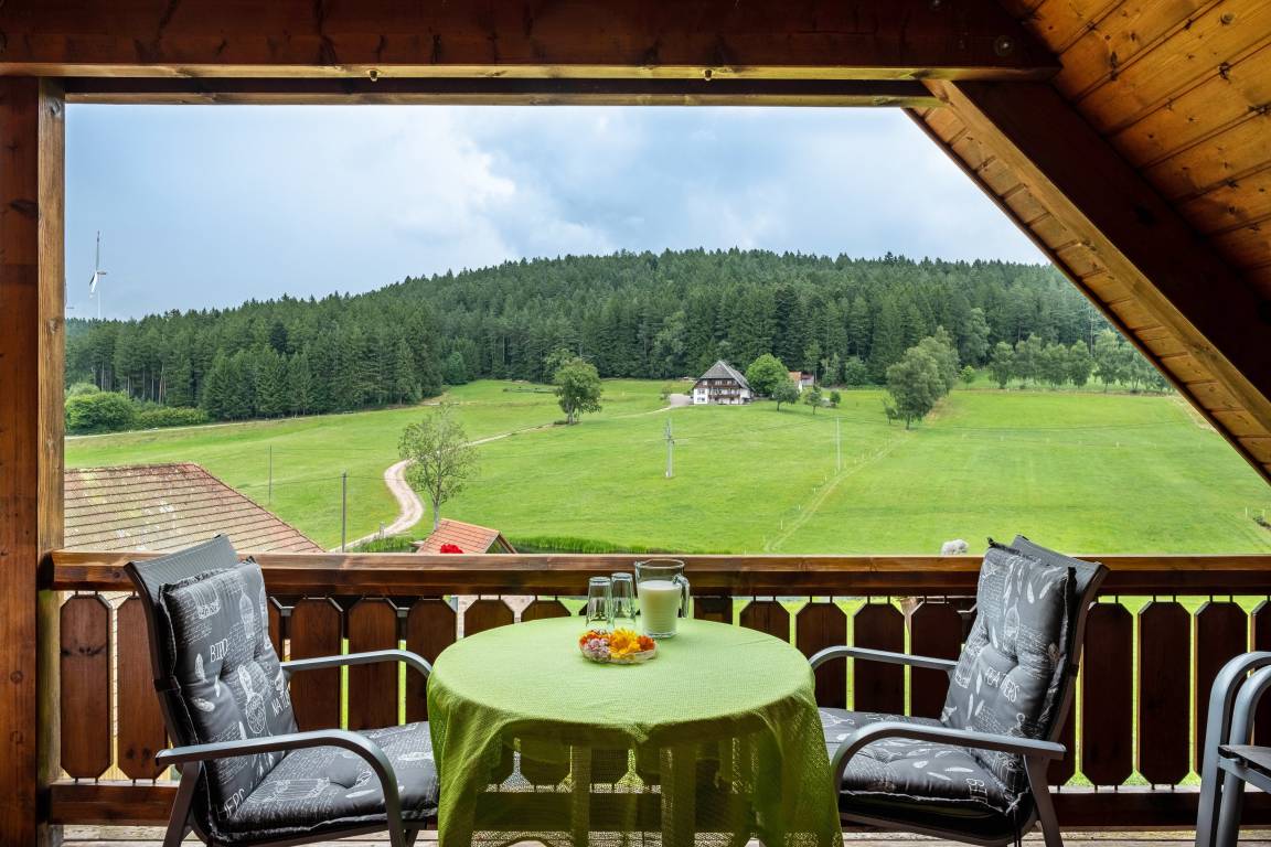 45 M² Apartment ∙ 1 Bedroom ∙ 4 Guests - Hornberg