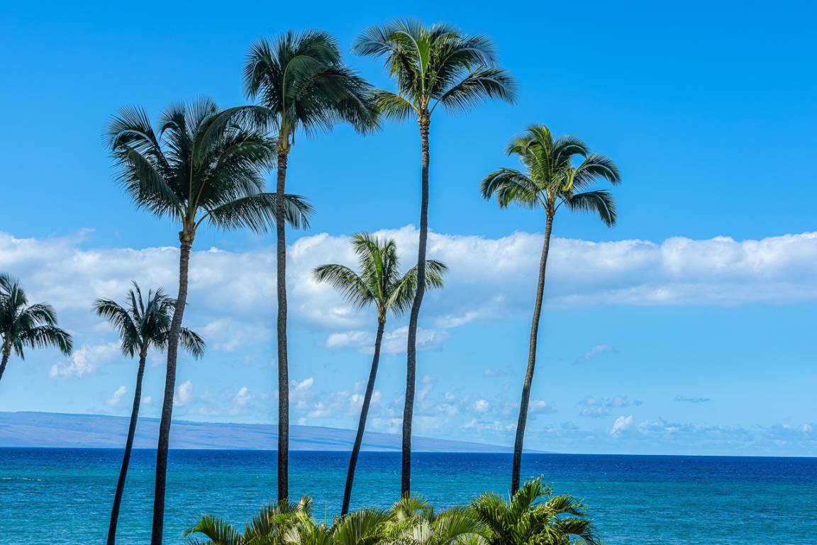40 M² Condo ∙ 3 Guests - Maui, HI