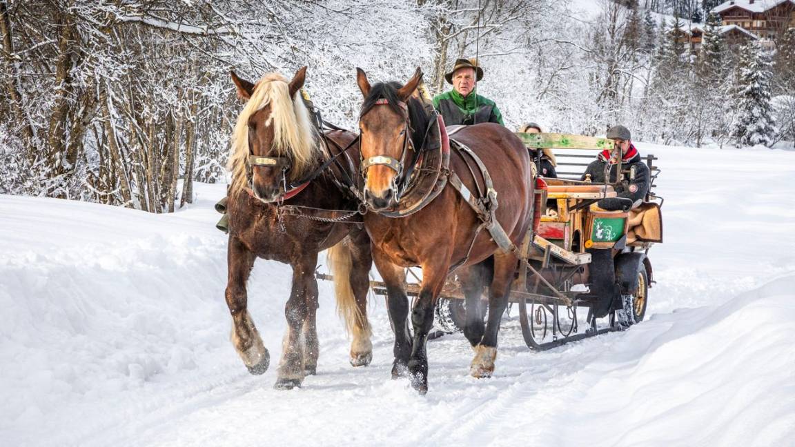 28 M² Hotel ∙ 1 Bedroom ∙ 2 Guests - Bischofshofen