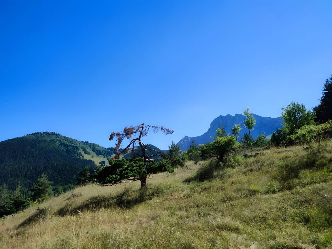 25 M² Appartement ∙ 1 Chambre ∙ 4 Personnes - Gresse-en-Vercors