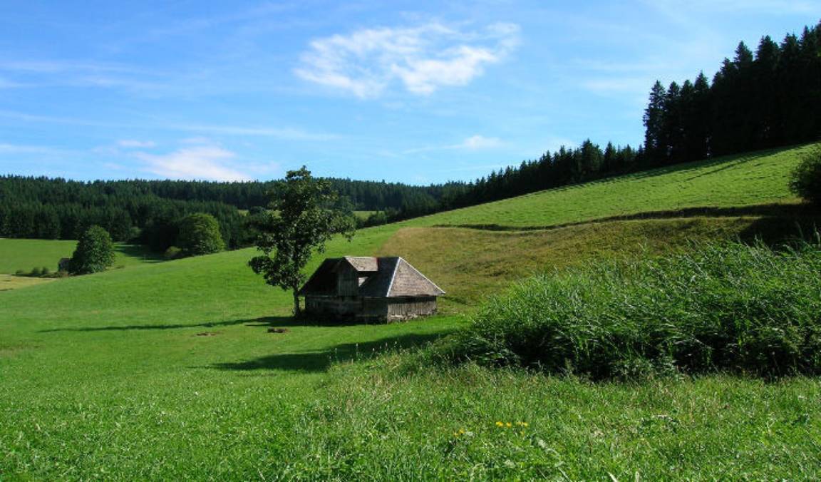 80 M² Apartment ∙ 2 Bedrooms ∙ 6 Guests - Titisee-Neustadt