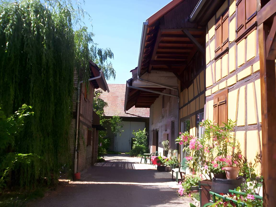 60 M² Talo ∙ 2 Makuuhuonetta ∙ 4 Vierasta - Elsass