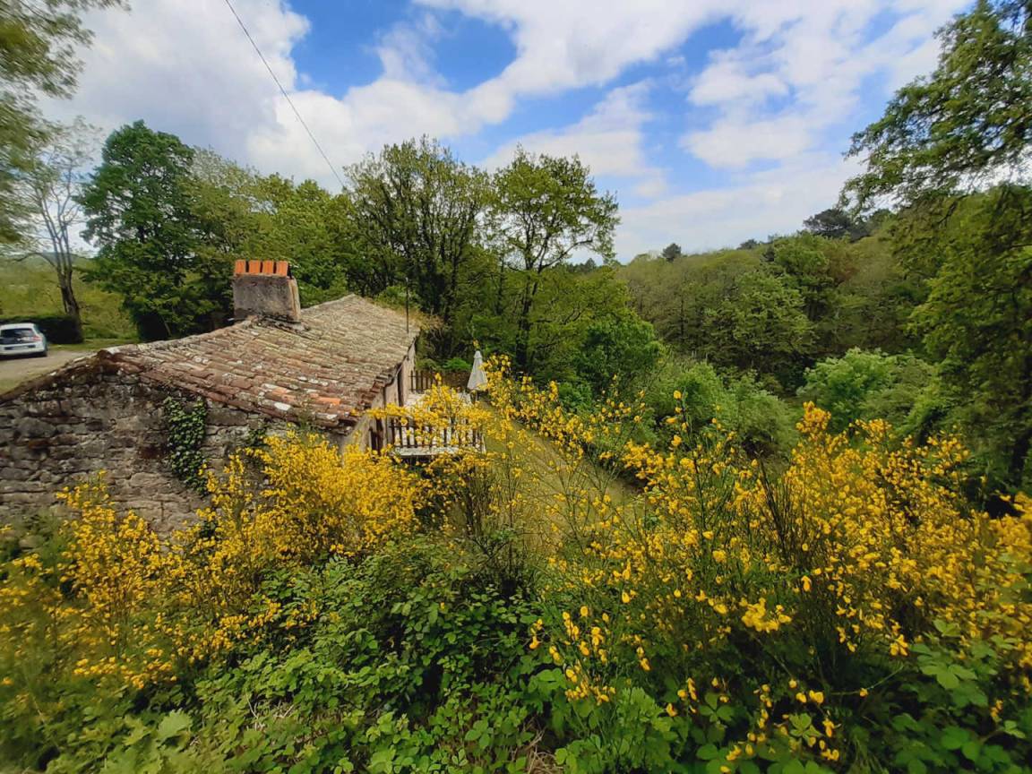 55 M² Gîte ∙ 2 Camere Da Letto ∙ 4 Ospiti - Tarn